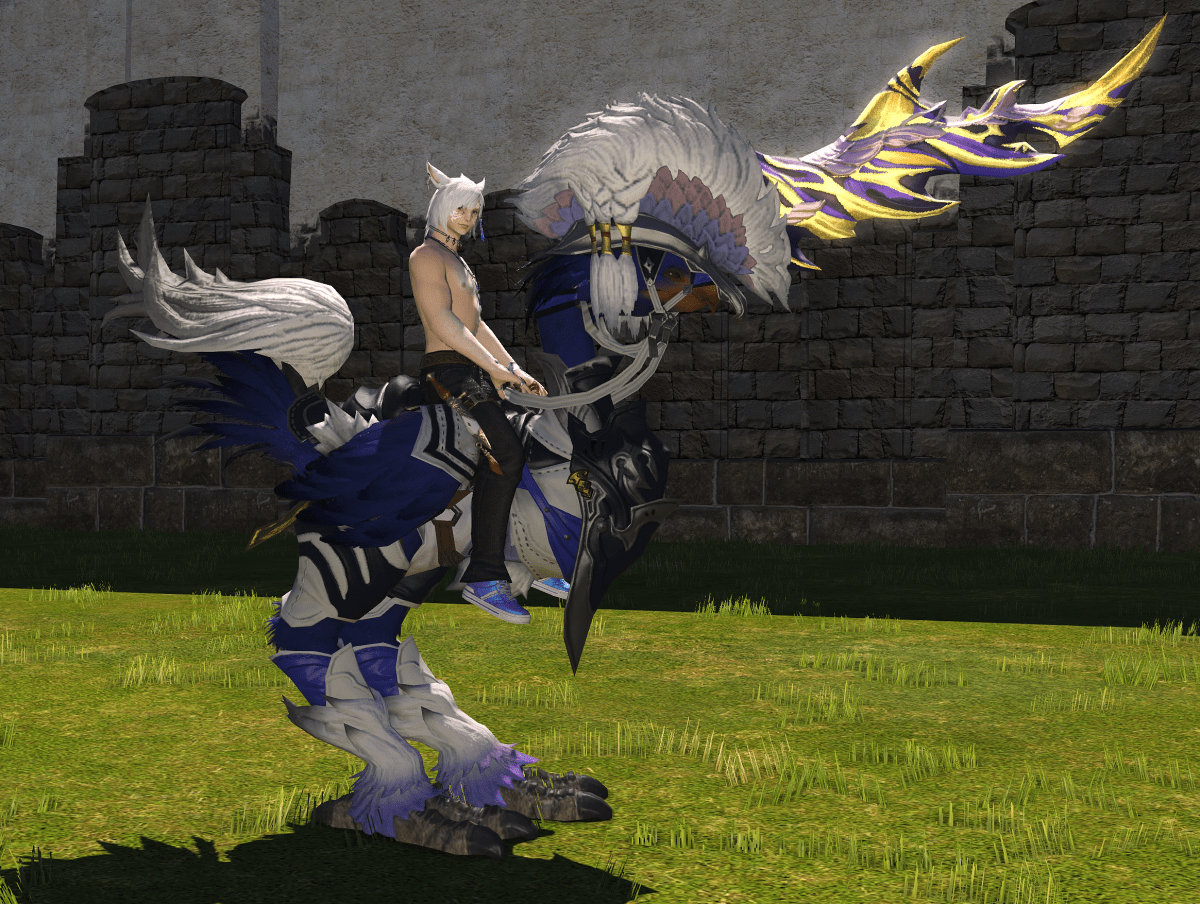 Do You Have Your Battle Buddy Bird (Chocobo)? – Gar's Lair
